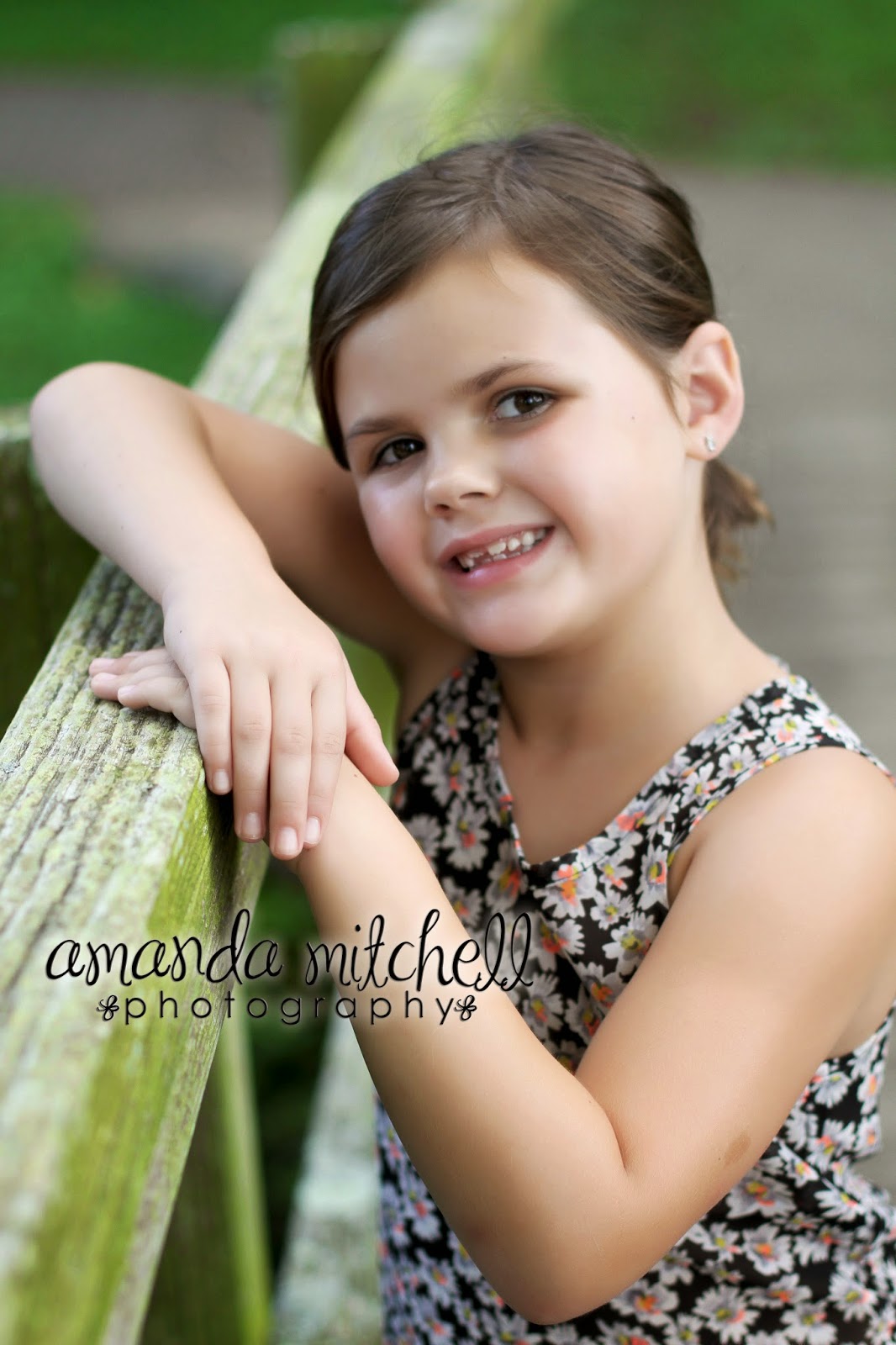 Amanda Mitchell Photography