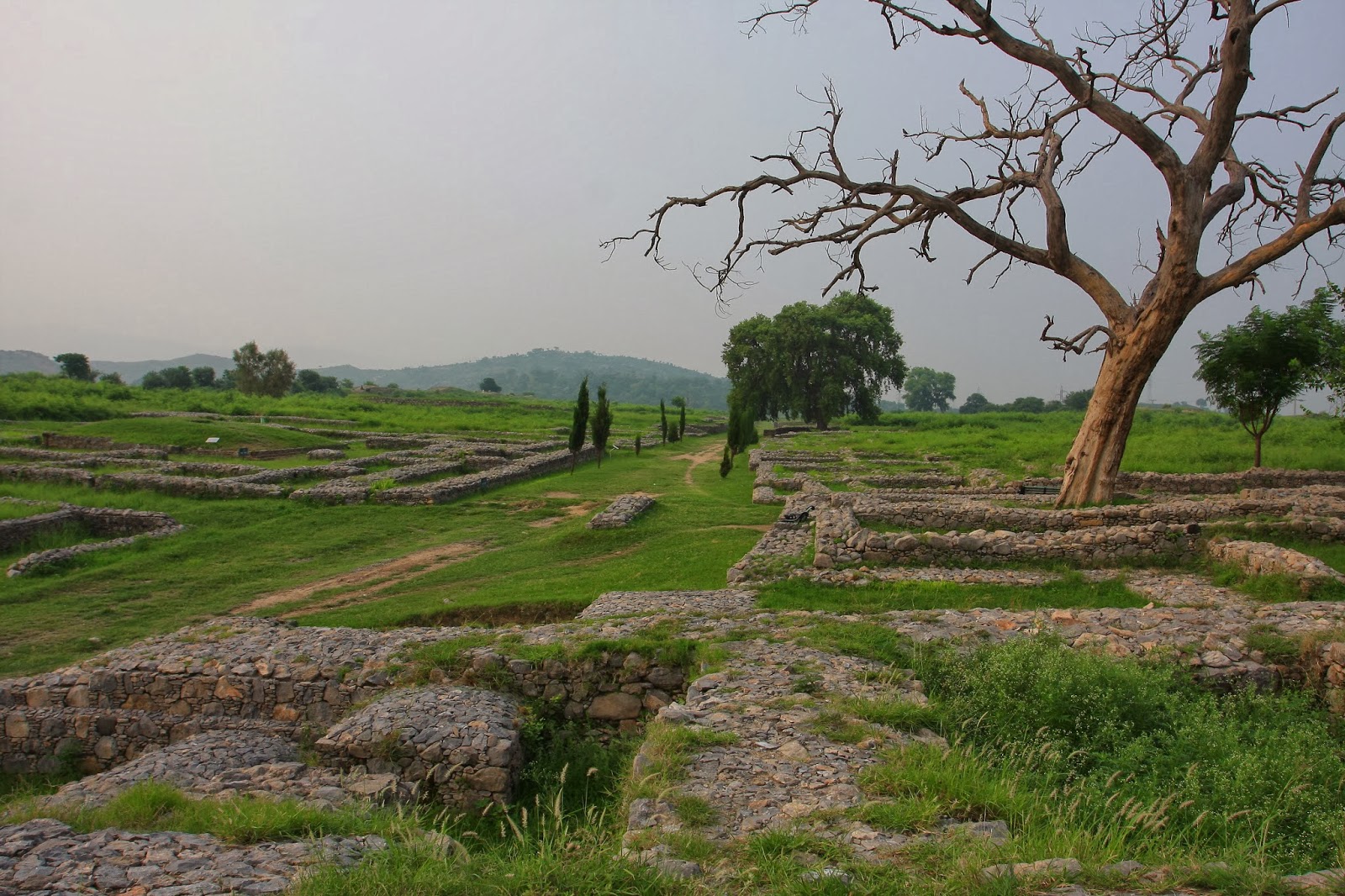Salman Rashid: Rendering in Dressed Stone - Taxila