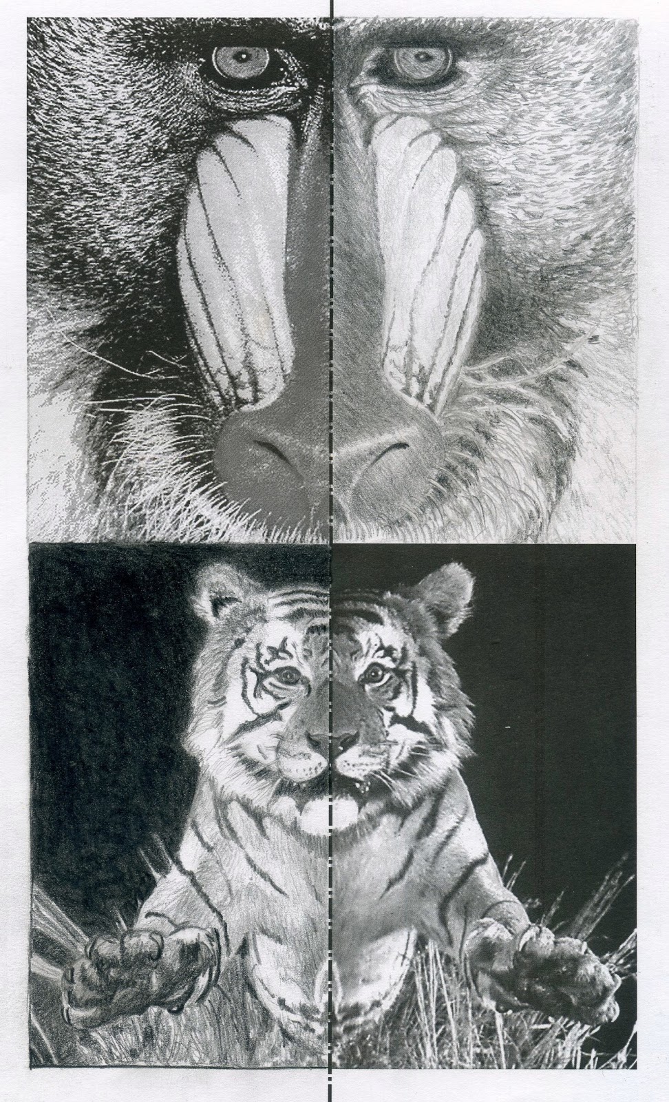 Plástica y Dibujo en el IES Alisal: 3º ESO