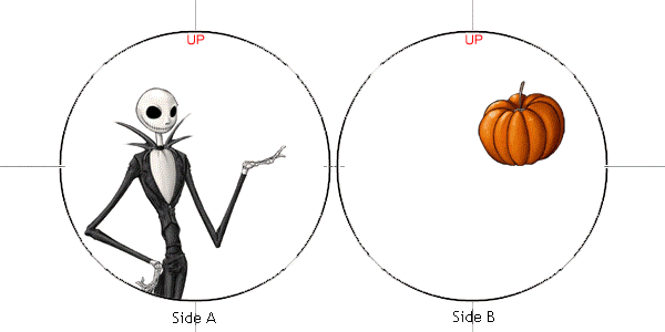 Animation Skills: Thaumatrope