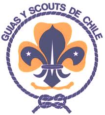 Movimiento de Guías y Scout de Chile UNA NUEVA MIRADA