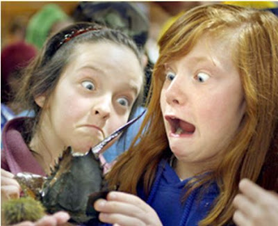 LARRY'S RAMBLE: 2011-07-31