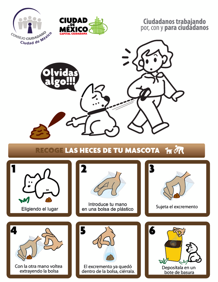 Club de ciencias apoyo canino