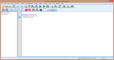SPSS Intensive Training: Understanding the Spss Window