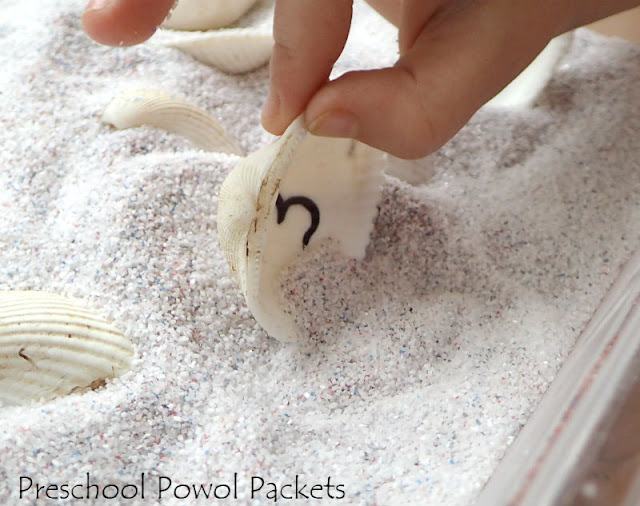 Seashell Math Sensory Bin | Preschool Powol Packets