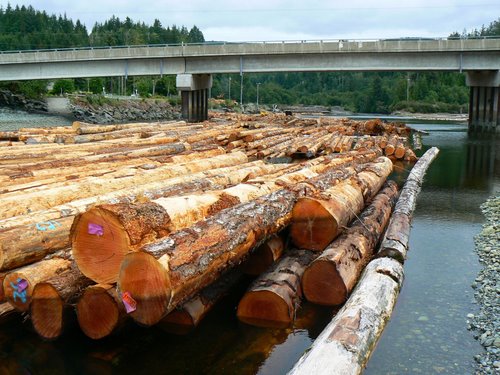 Vancouver Island Clearcuts and Log Exports: Clearcut forecast