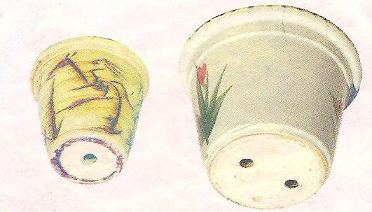 Cikgu Lalitha: Penanaman