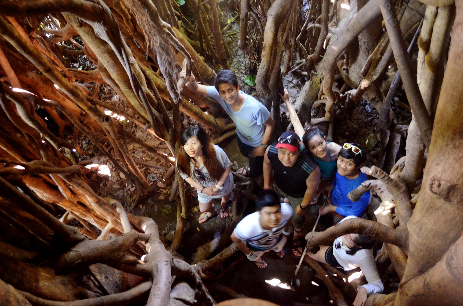 H E L L O ♥ K I M M Y : Millennium Tree - Old Balete Tree Of Aurora