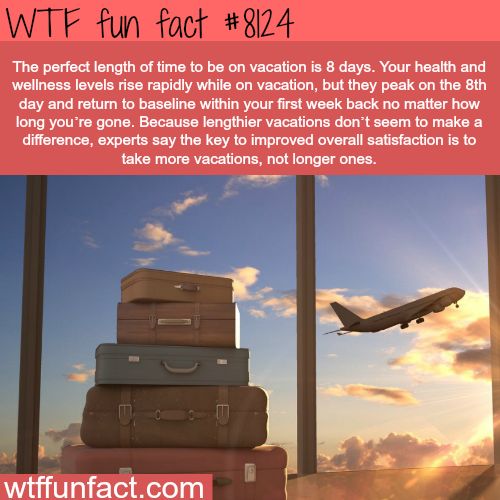 40 Interesting WTF Fun Facts | Amazing WTF Facts