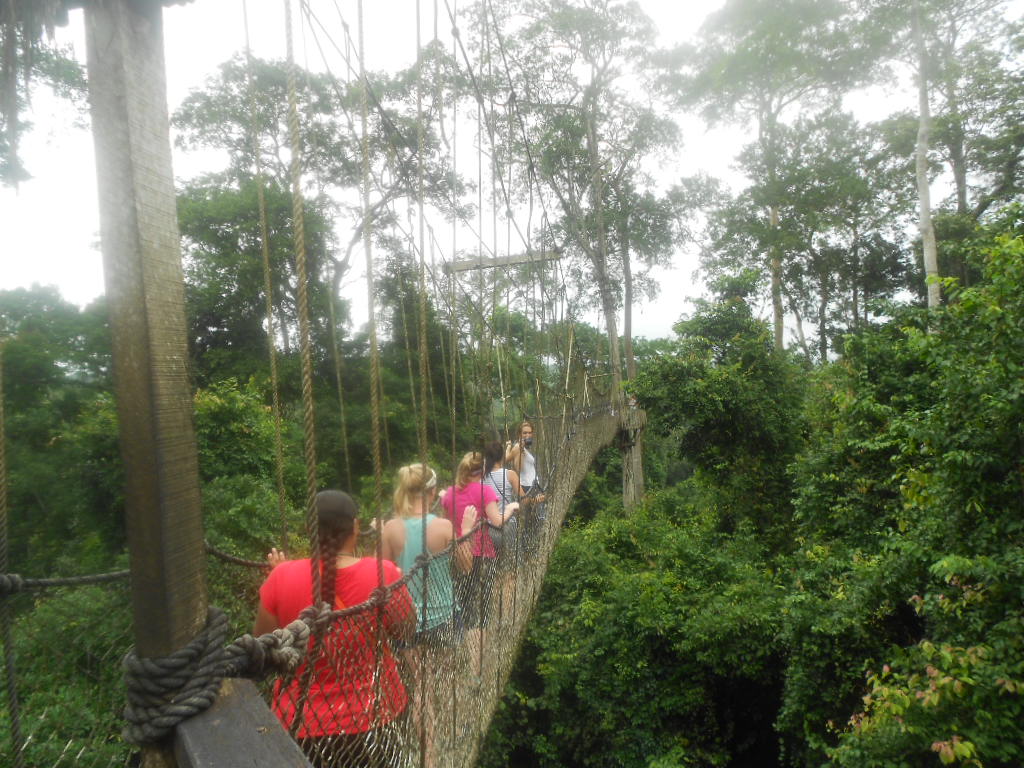 MAD Matters: 18 Cape Coast: Beautiful Fishermen, Scary Canopy Walk and ...
