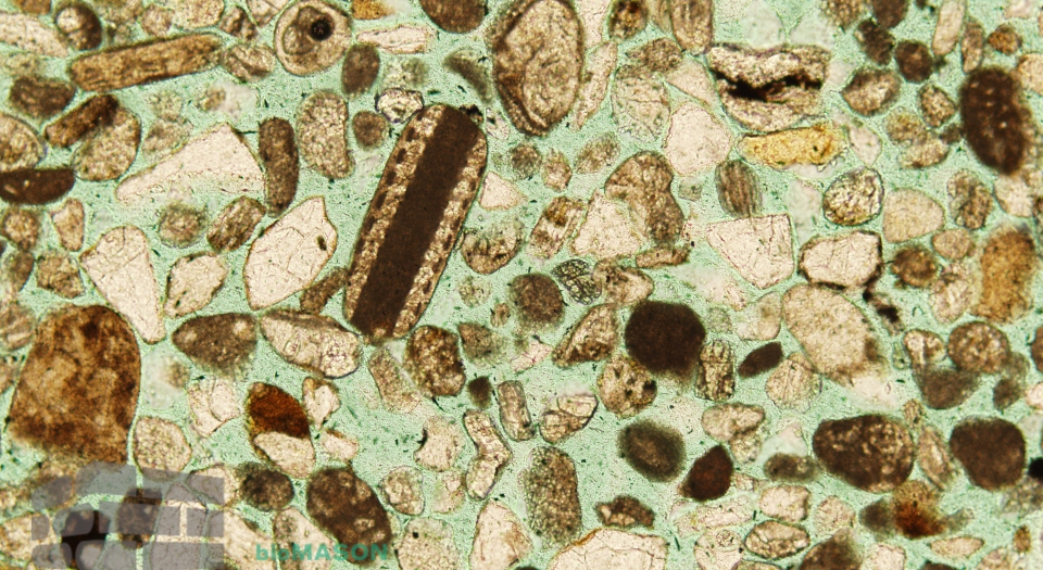 Biomason: Los ladrillos para una arquitectura sustentable: 2016