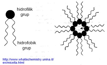 Prof. Dr. Bilsen Beşergil: Misel, Ters Misel, Kritik Misel ...