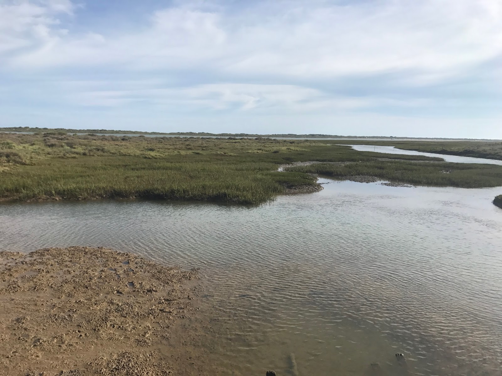 Senderismo. Ria del río Piedras y Playa de la Flecha.el Rompido (Huelva)
