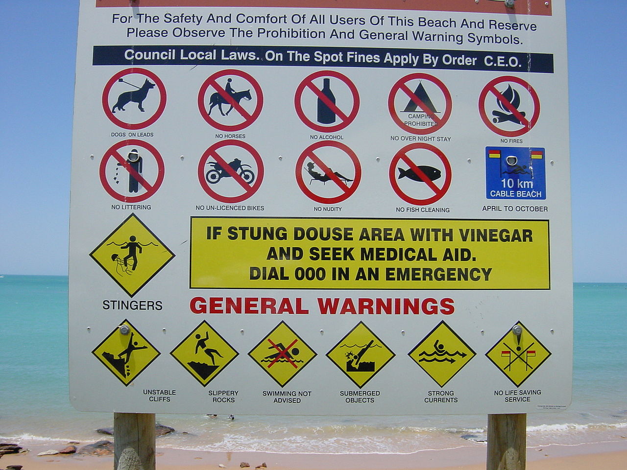 The Dangerous Snorkelling Club: Snorkelling Hazards