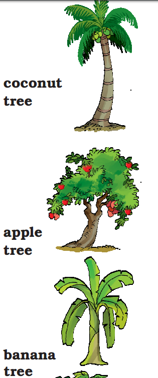 Match the following - kids exercies | Learn English For Kids