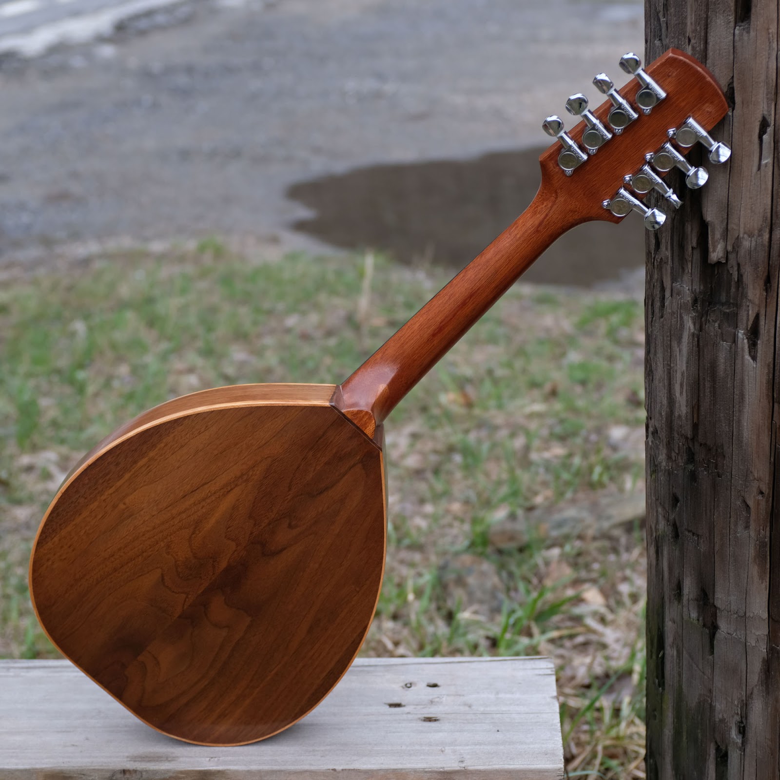 2010 Gypsy's Music Nylon-String Mandolin