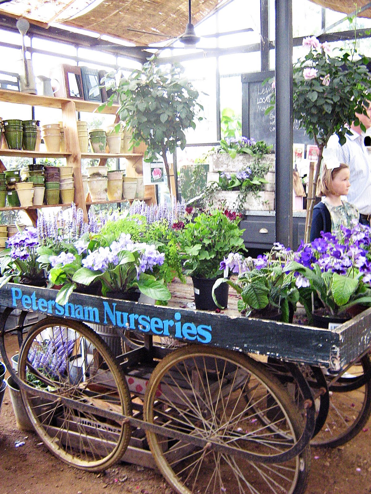 Petersham Nurseries : a patch of heaven and an encouraging story about ...