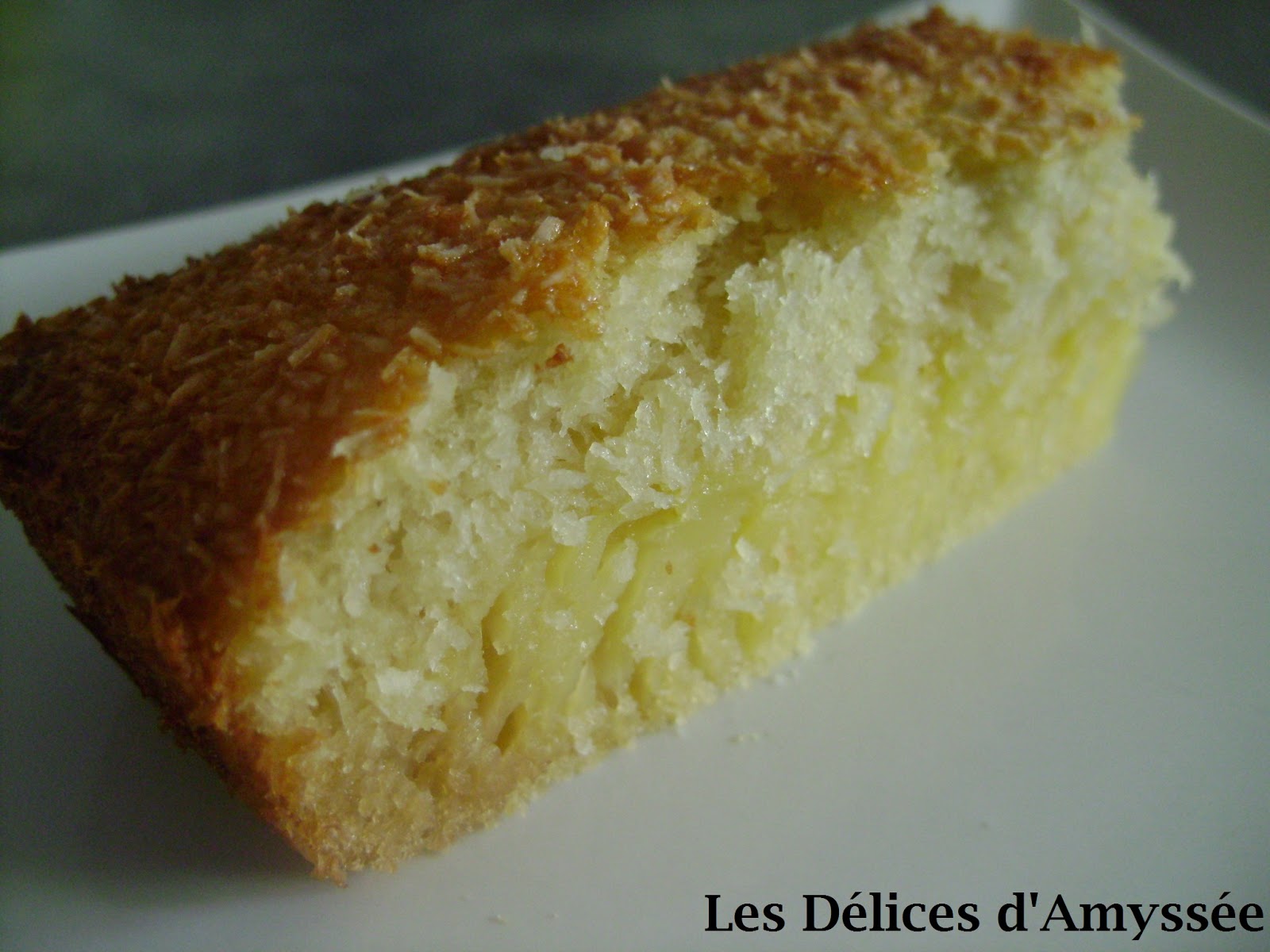Les Délices d'Amyssée: Gâteau magique à la noix de coco au Thermomix