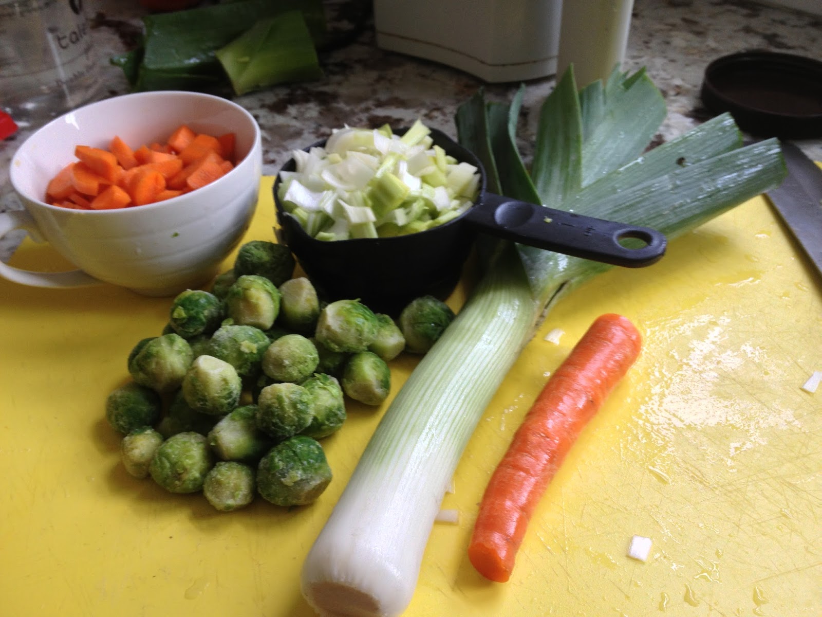 Gluten Free A-Z : Baby Brussels Sprouts Soup ( in 12 minutes)