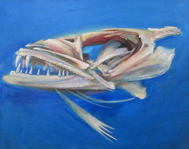 One Painting a Day: Barracuda Skull
