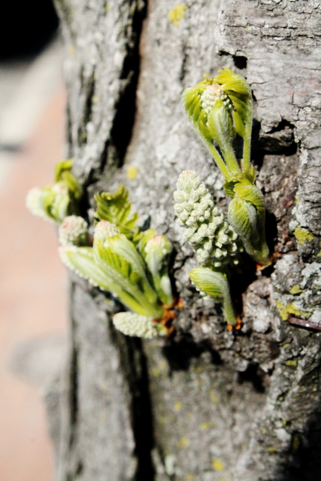 The Sunday Tablet: Monday Mornings