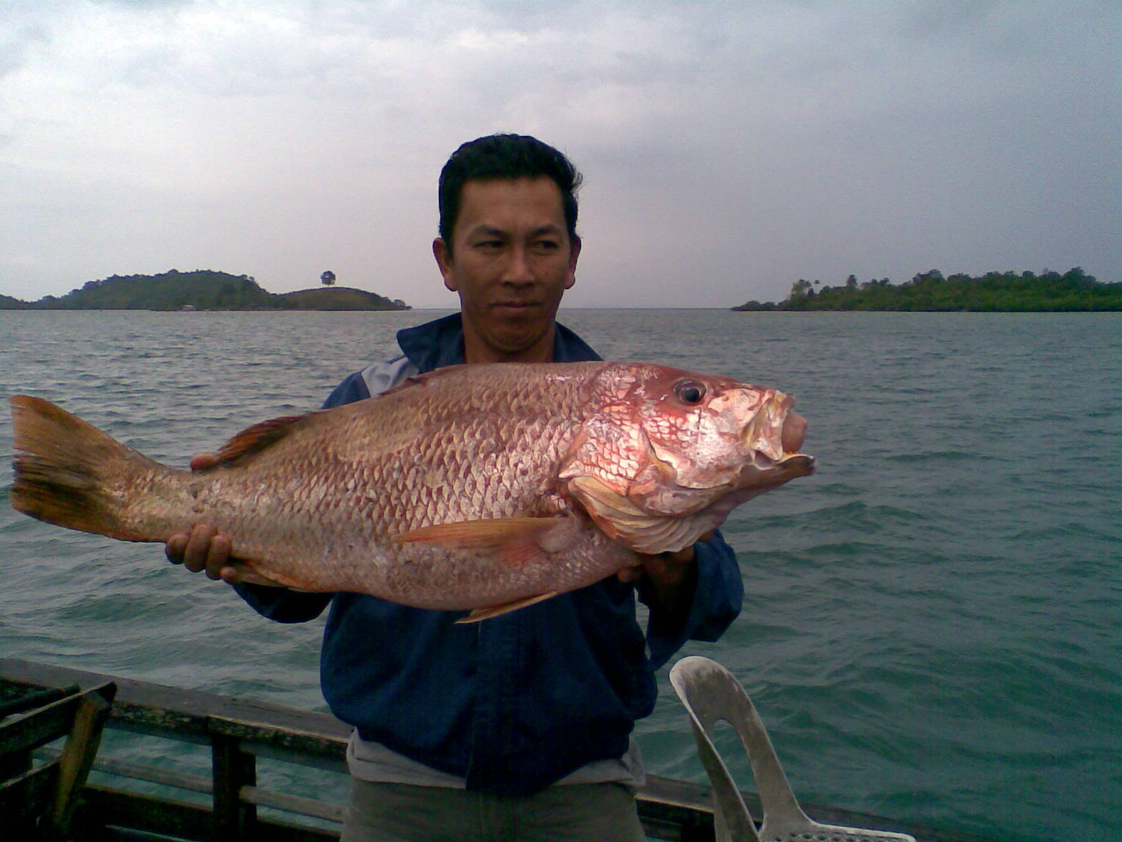 BatamFish: Trip Pancing Pulau Buaya - panen ikan ungar