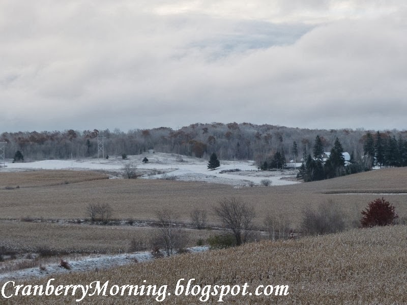 Cranberry Morning: NW Wisconsin in November