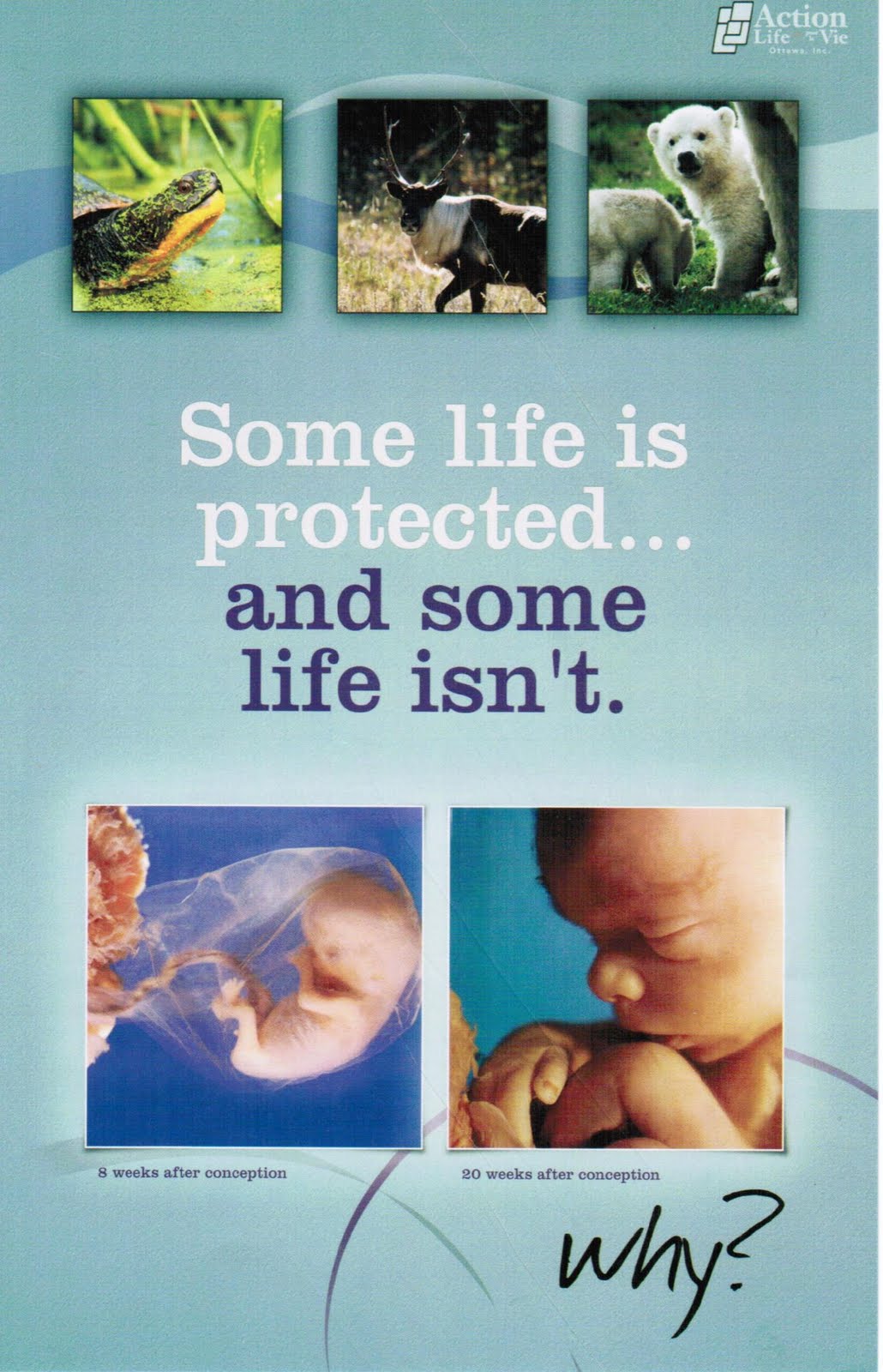 Run With Life: The protection of life