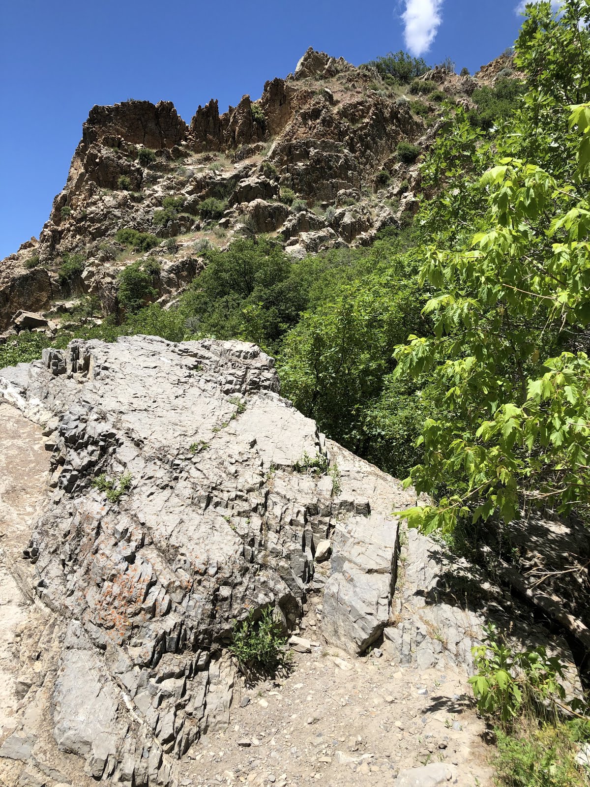 Walking Arizona: Spring Runoff in Rock Canyon, Wasatch Front, Provo, Utah