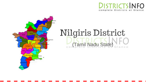 Nilgiris District With Talukas in Tamil Nadu State