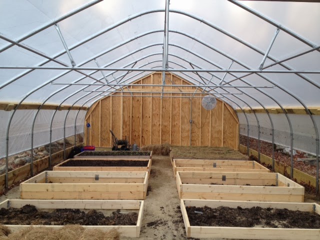 Dispatch from the Digital Health Frontier: Building Unity Farm - Fall ...