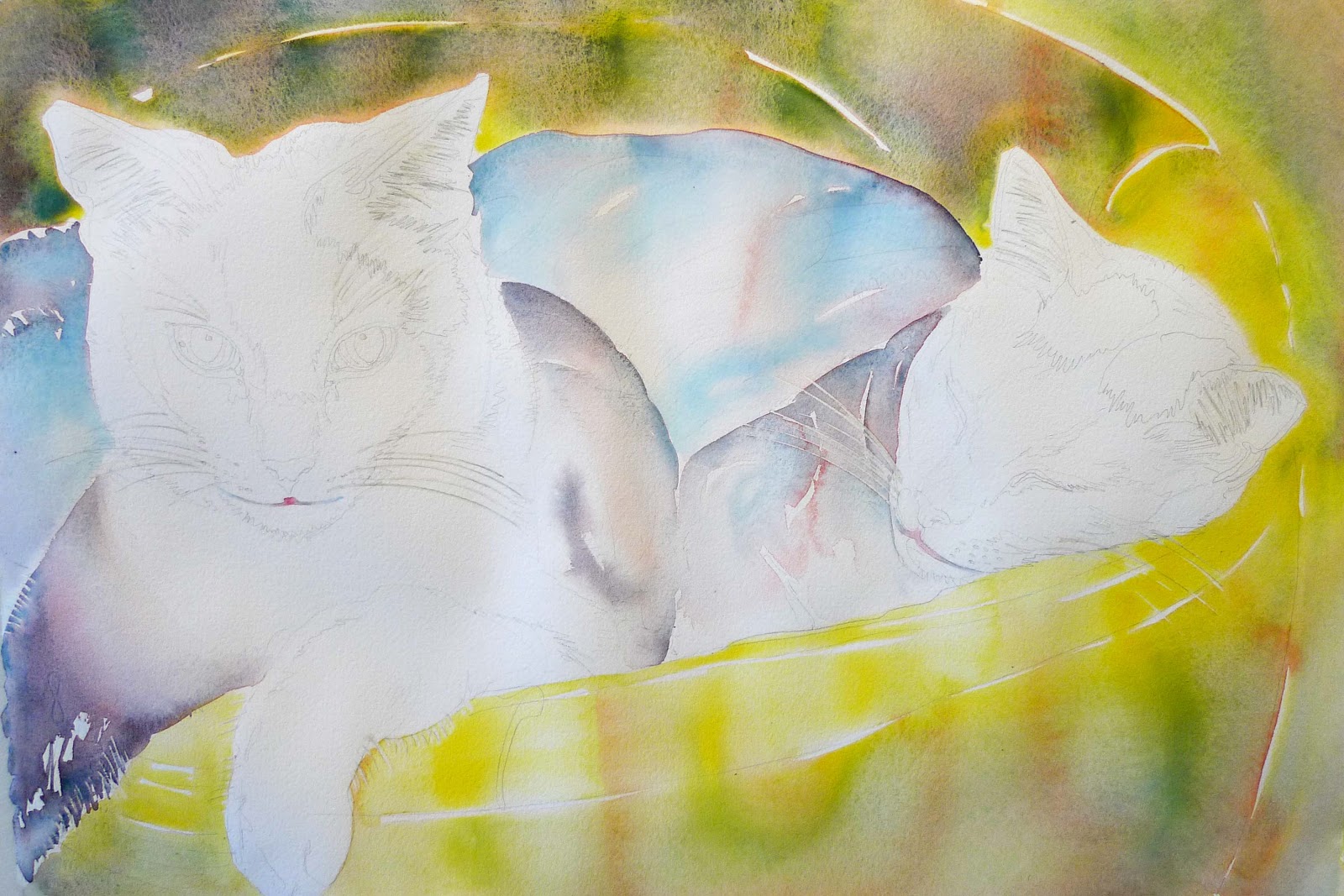 paintings: Cat Commission- watercolor