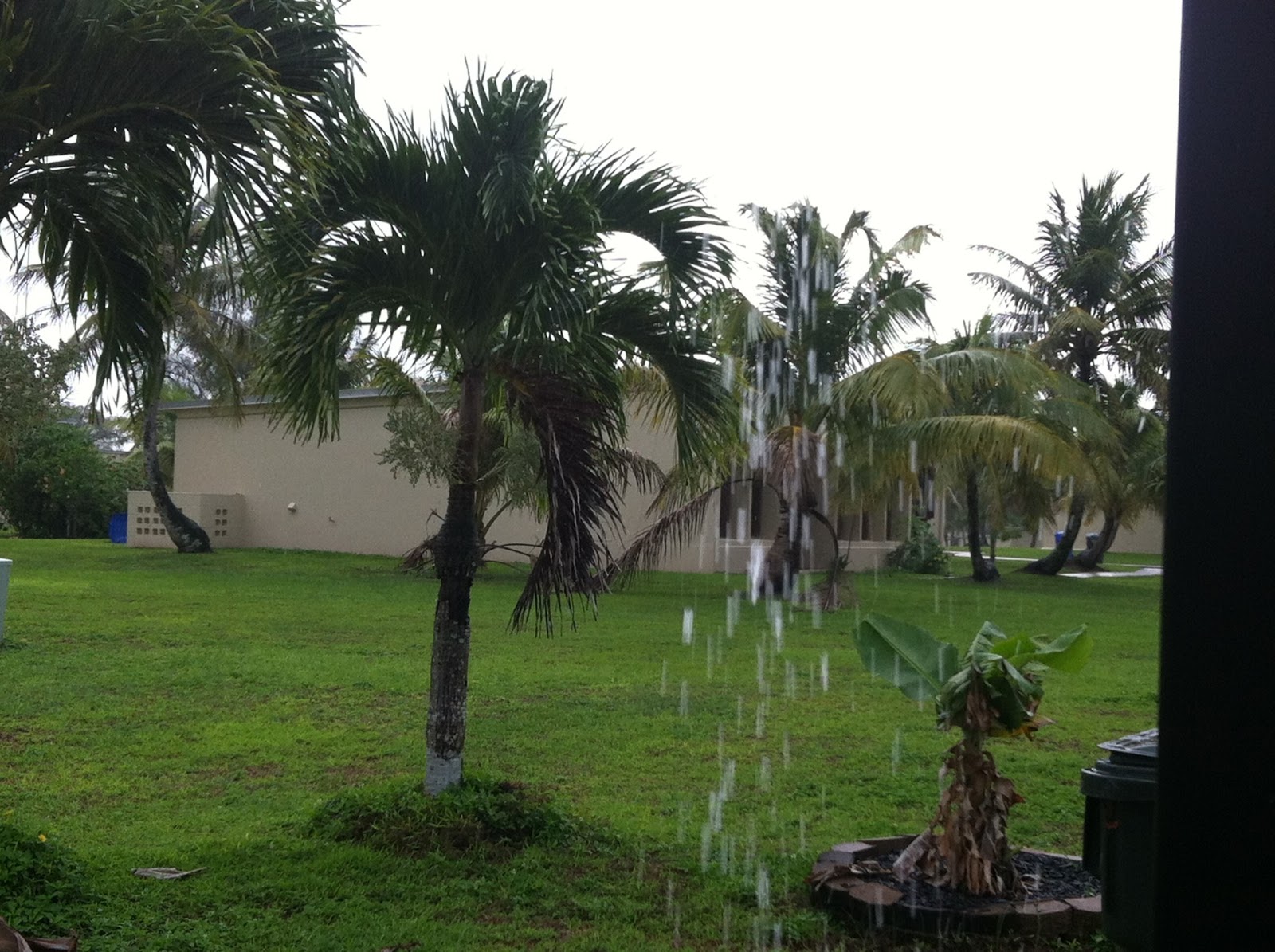 Notes From the Guam Side: Guam in the Winter