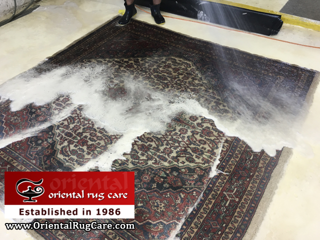 Oriental Rug Cleaning
