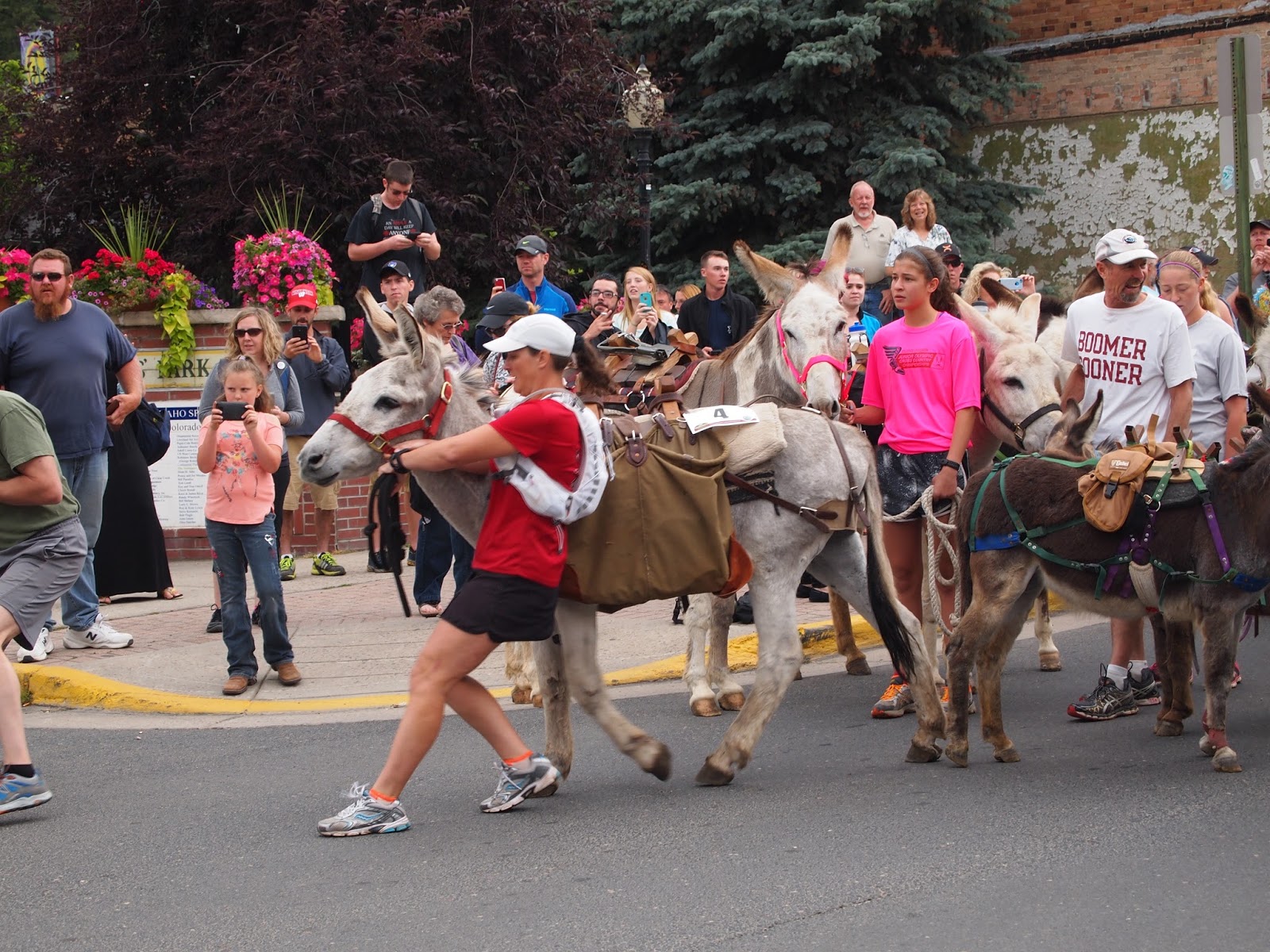 We Do Stuff: Donkey Racing