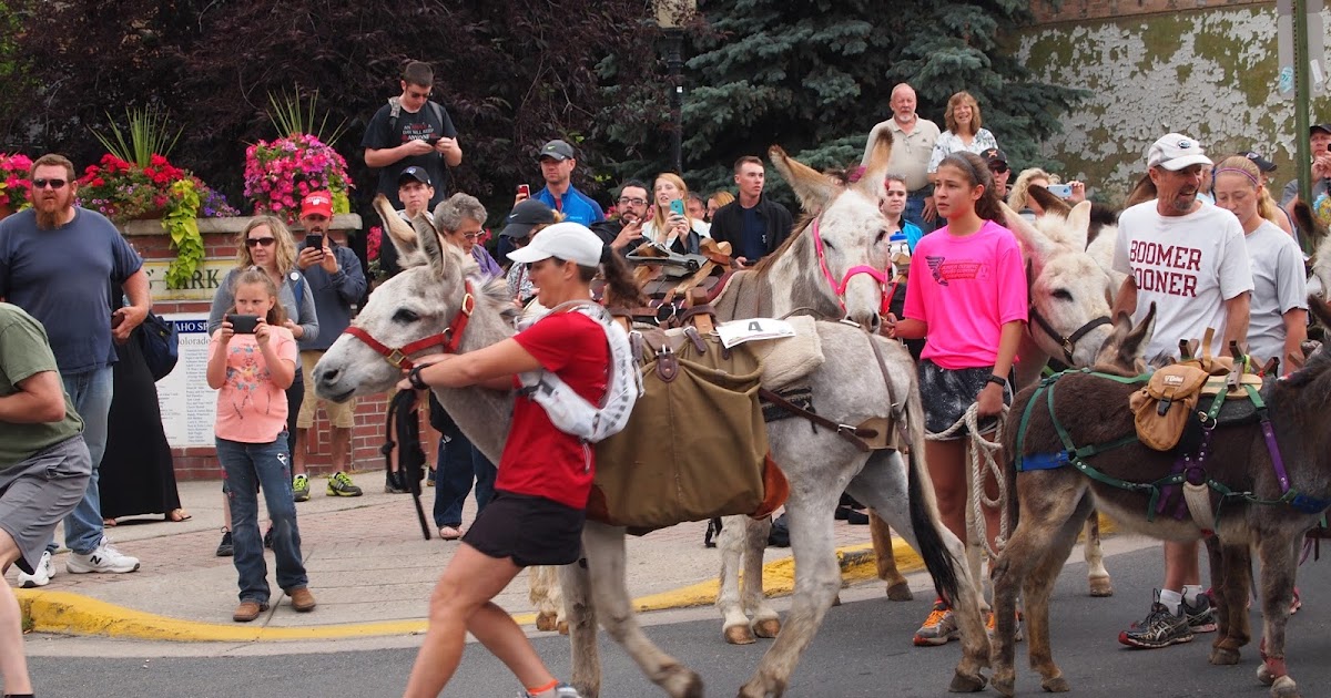 We Do Stuff: Donkey Racing