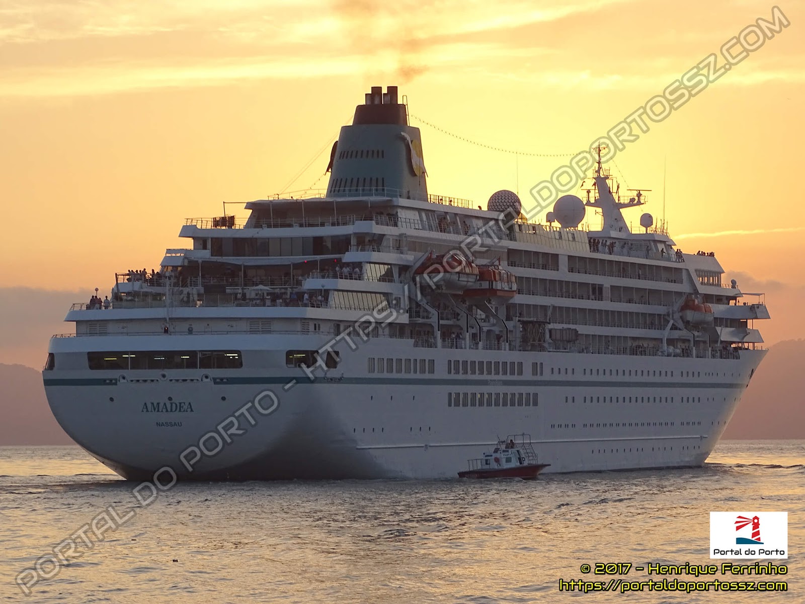 Amadea - Portal do Porto