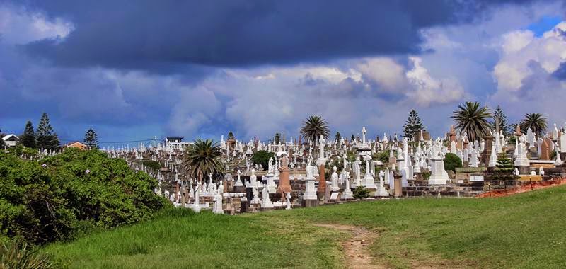 The Waverley Cemetery, The self funded and iconic graveyard in Sydney