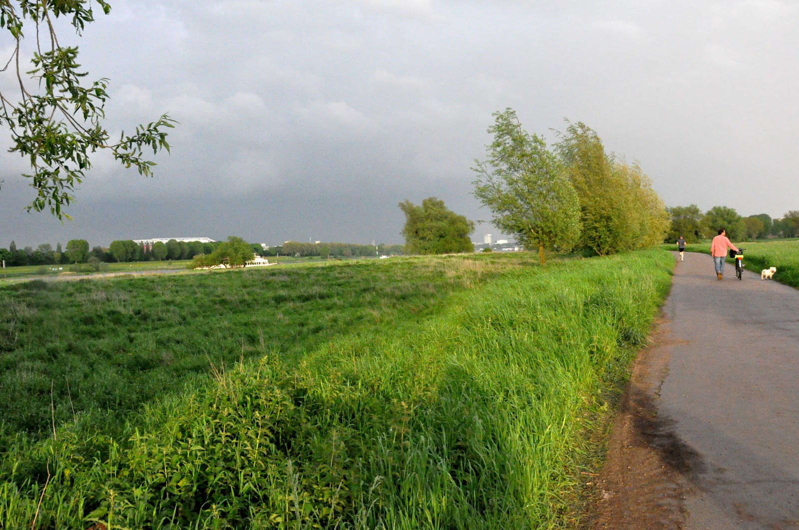 .: History, Up Close and Personal