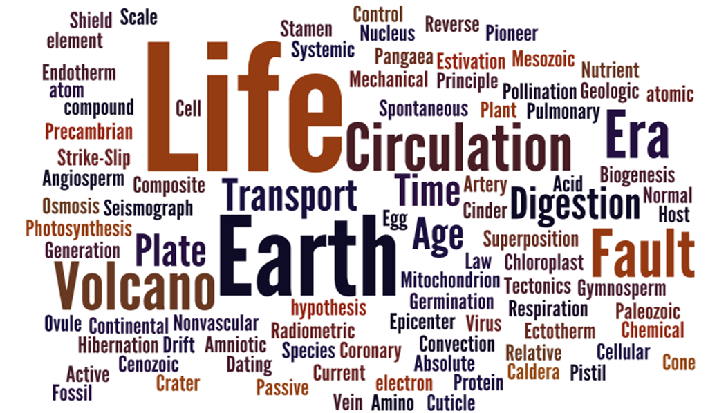 Mrs. Norton's Science Blog: Words For Science Final