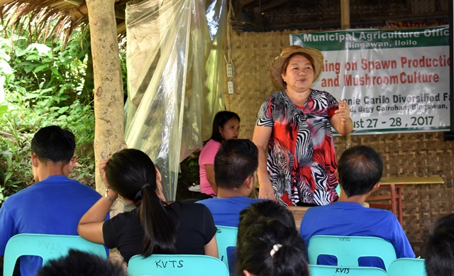 mybeautifulILOILO: December 2017