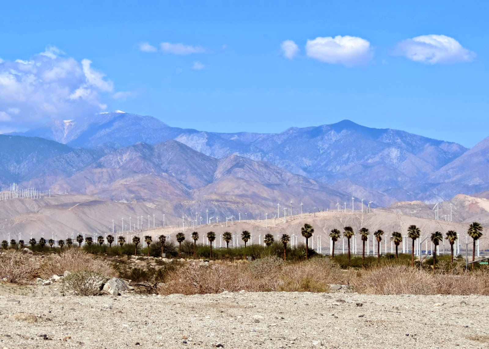 Eden By The Bay: Andreas Oasis