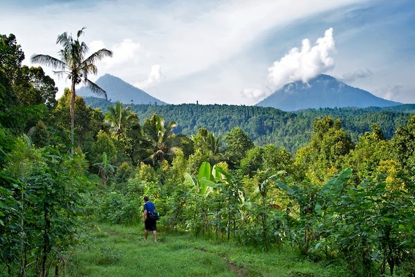 BALI TIRTA TRAN'S: MUNDUK AREA
