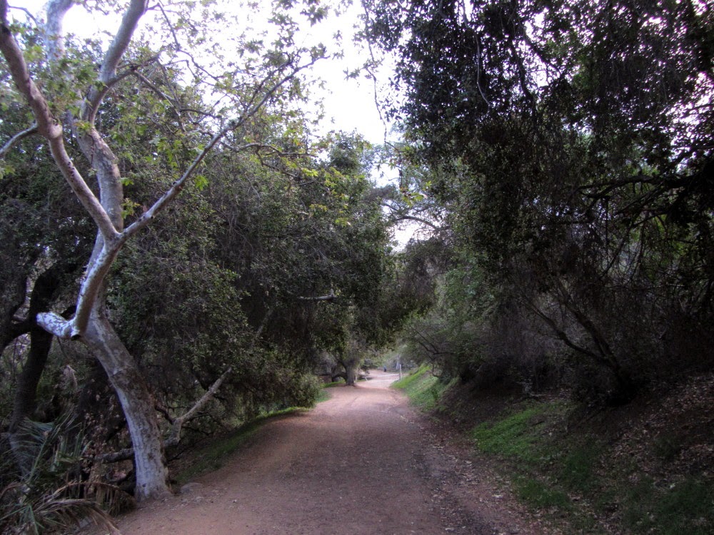 Dan's Hiking Blog: Mt. Lee via Brush Canyon in Griffith Park - April 10 ...