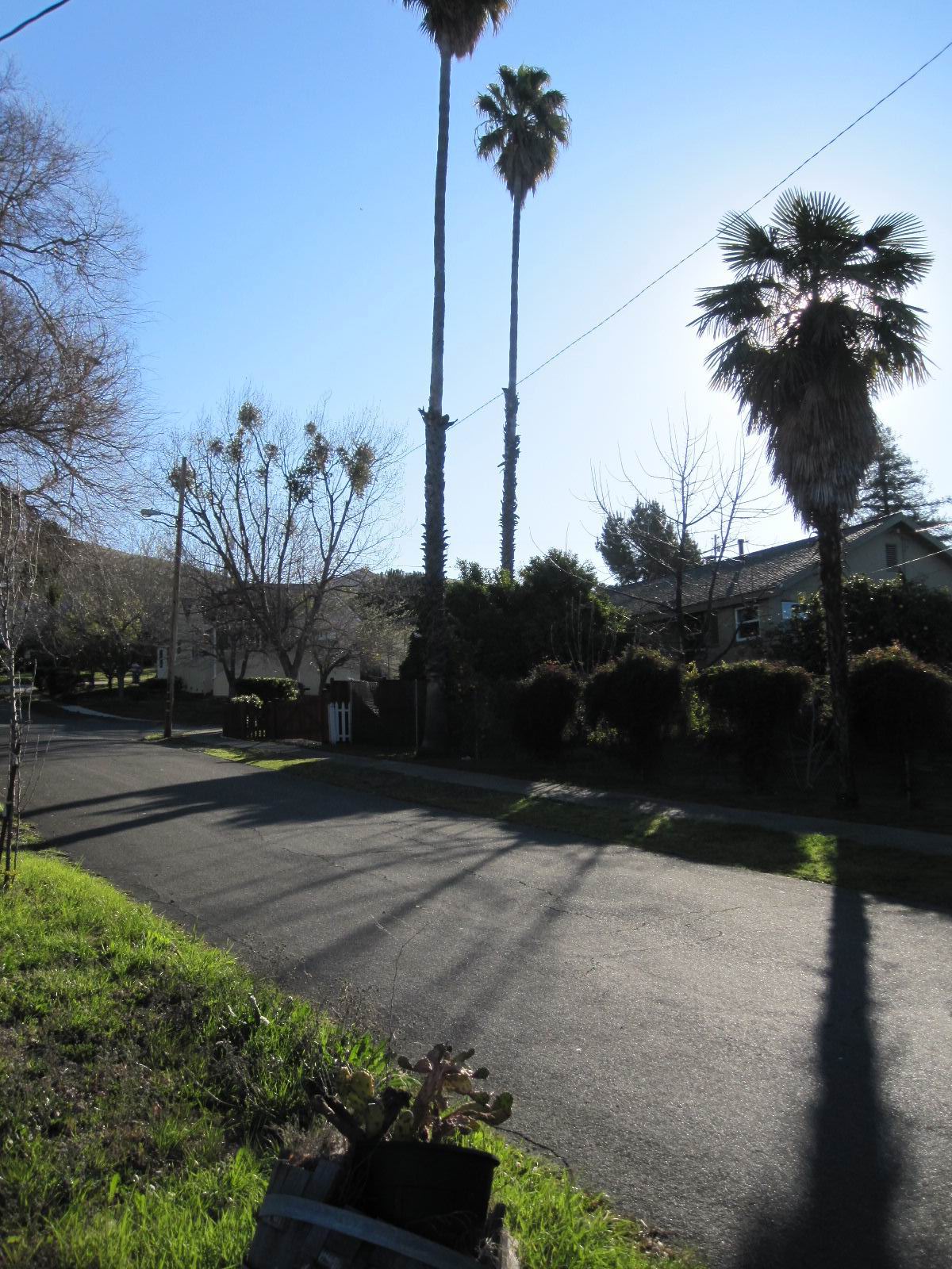Little Pink Houses: A Walk Around Clyde, CA