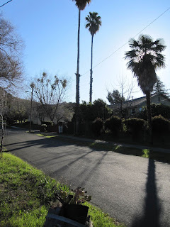 Little Pink Houses: A Walk Around Clyde, CA