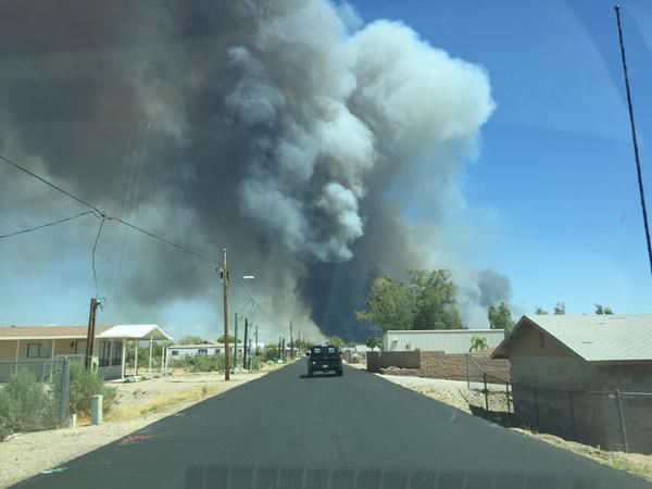 CFN - CALIFORNIA FIRE NEWS - CAL FIRE NEWS : CA-MMU Willow Vegetation ...