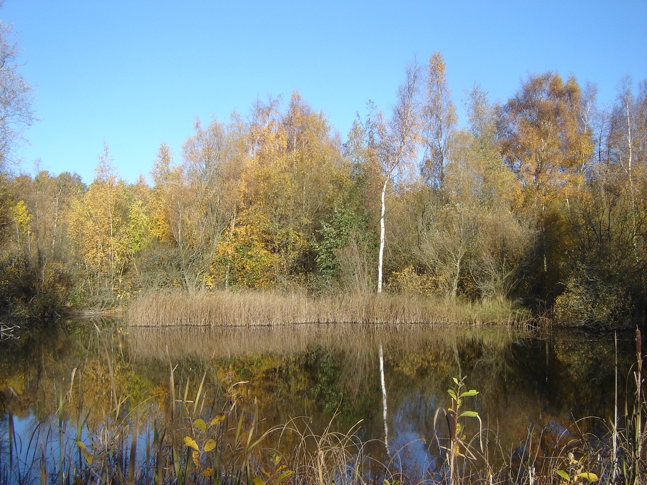 Skånska Resor: Oxie höjden vid källan