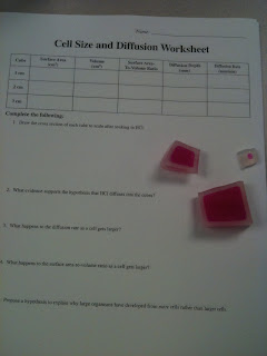 We Love Biology!: Cell Size Lab