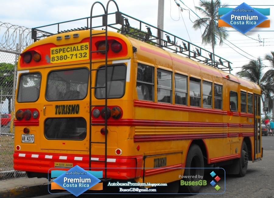 Autobuses Premium Costa Rica: Autobuses Premium Costa Rica: Blue Bird ...